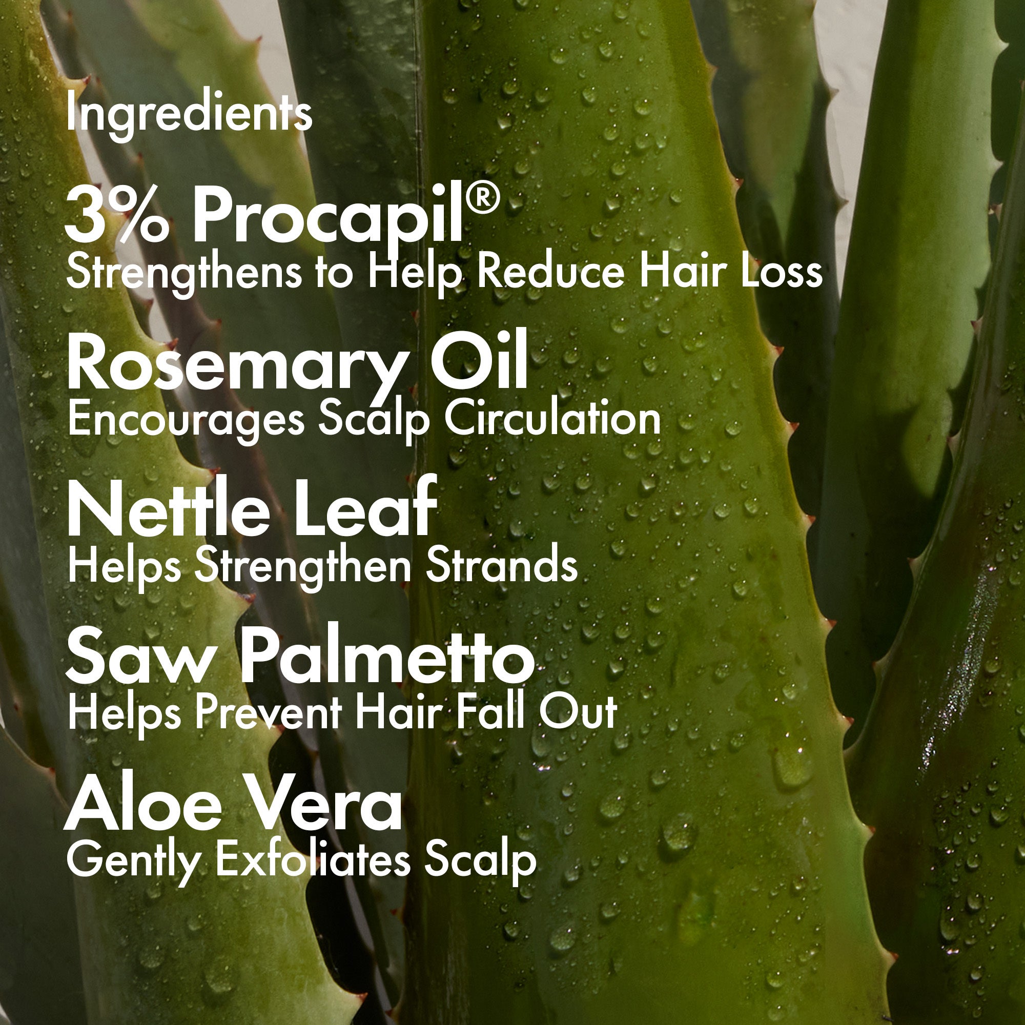 Procapil Hair Tonic - Protects and supports thinning hair – BondiBoost.com