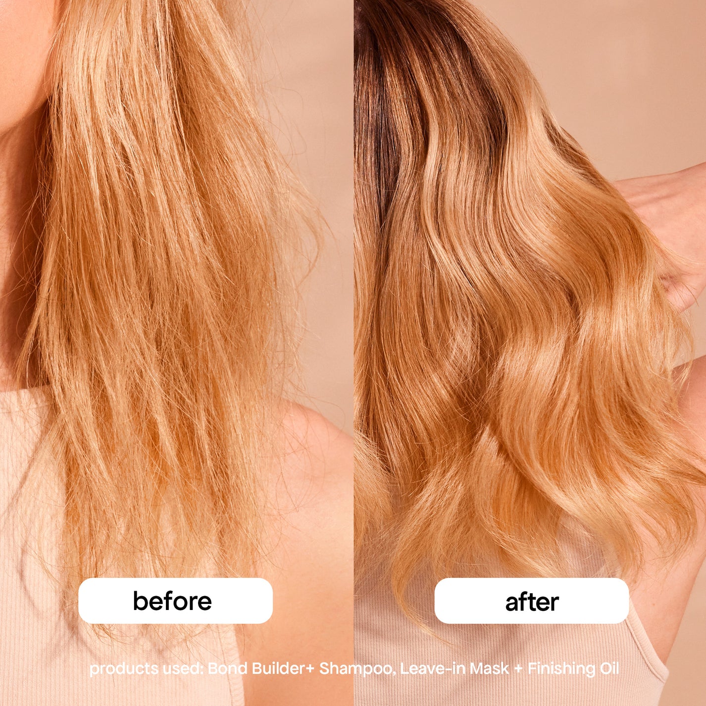 EVERLAST AIRSTYLER & BOND BUILDER+ FINISHING OIL DUO – BondiBoost.com