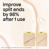 Everlast Airstyler & Finishing Oil Duo | BondiBoost – BondiBoost.com