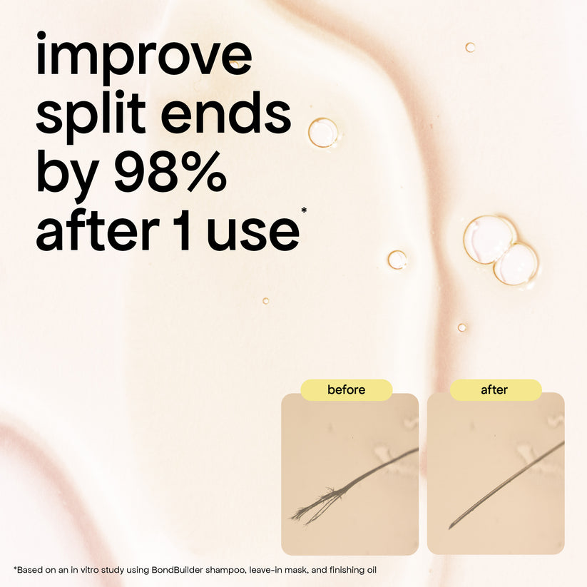 Everlast Airstyler & Finishing Oil Duo | BondiBoost – BondiBoost.com