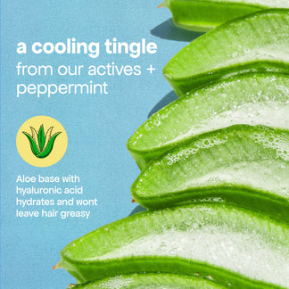 LOCK DROPS ANTI-SHEDDING SCALP & HAIR SERUM – BondiBoost.com